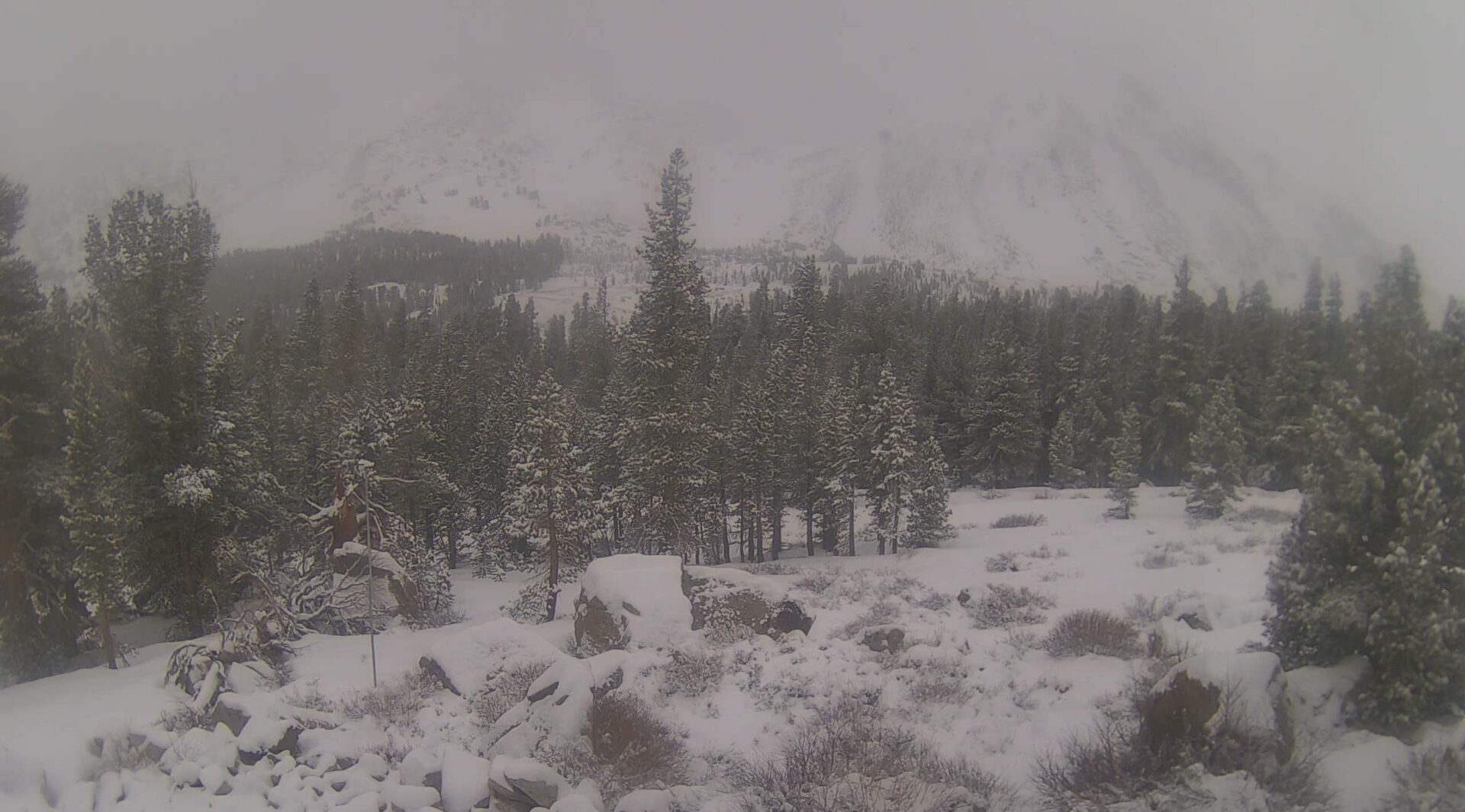 Virginia Lakes Road Open, Trout Season Opener Today - Virginia Lakes ...
